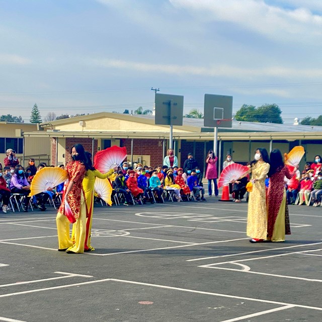 Home | Cook Elementary School