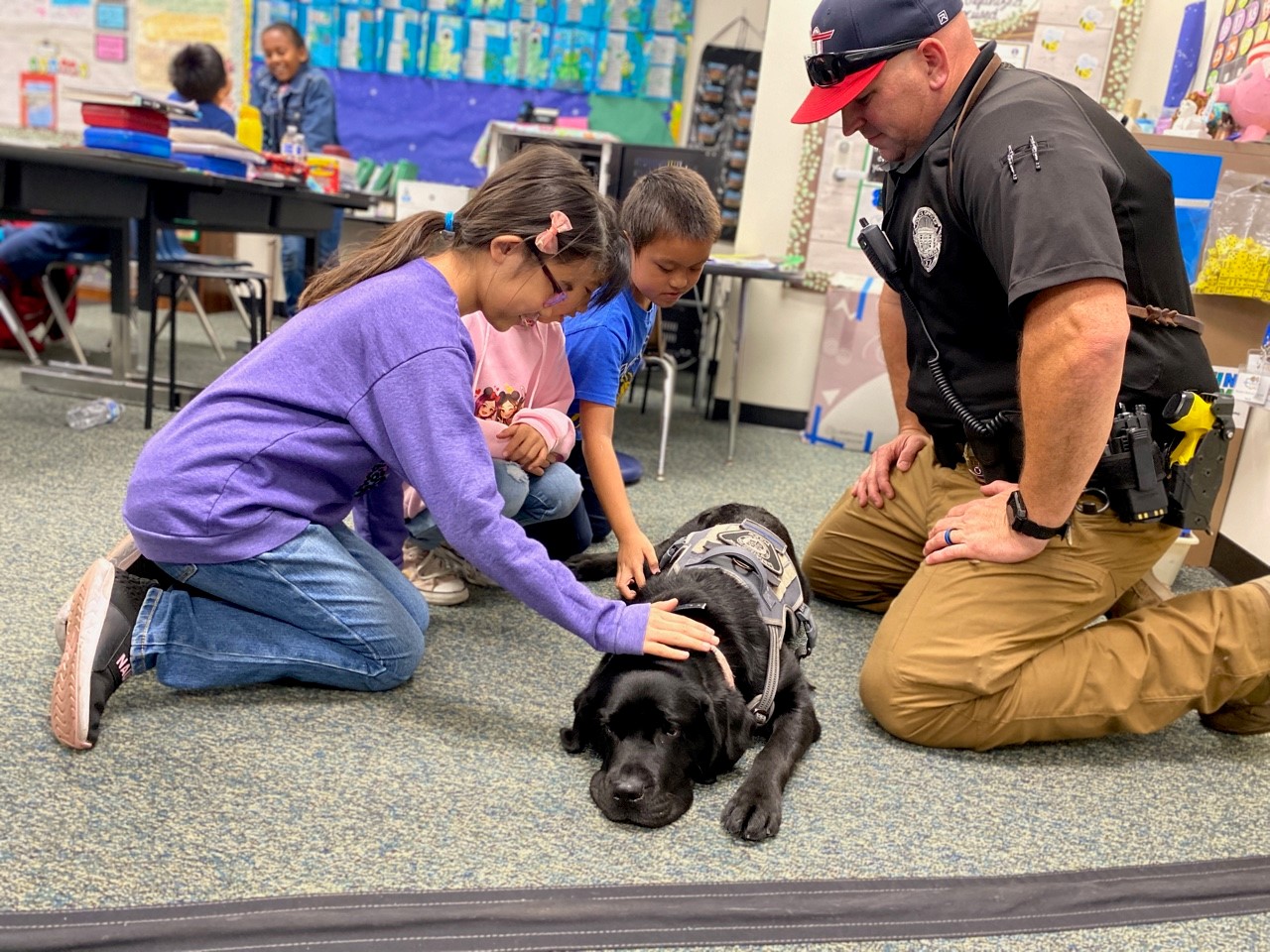 Home | Cook Elementary School
